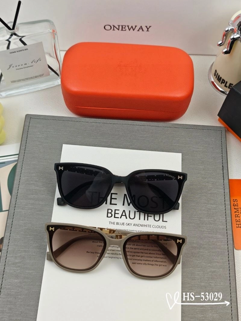 Hermes Sunglasses