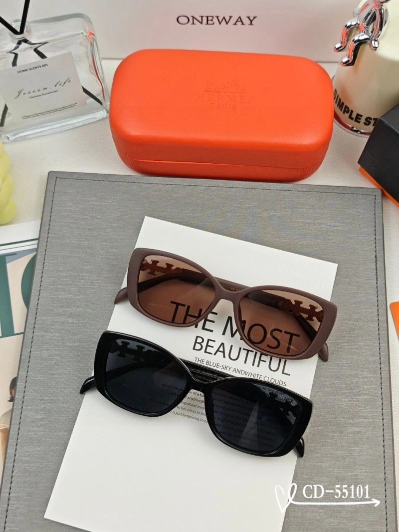 Hermes Sunglasses