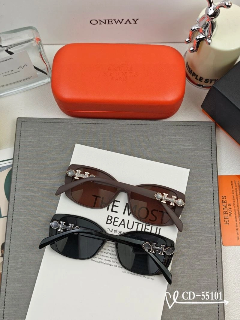 Hermes Sunglasses