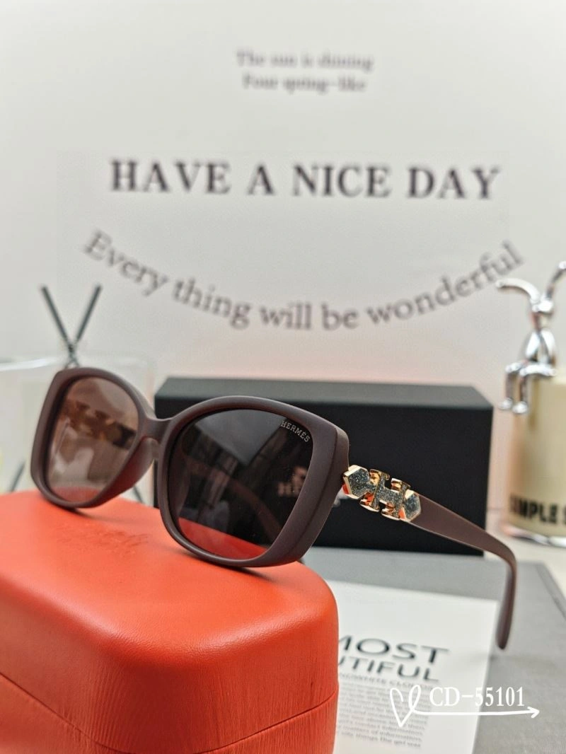 Hermes Sunglasses