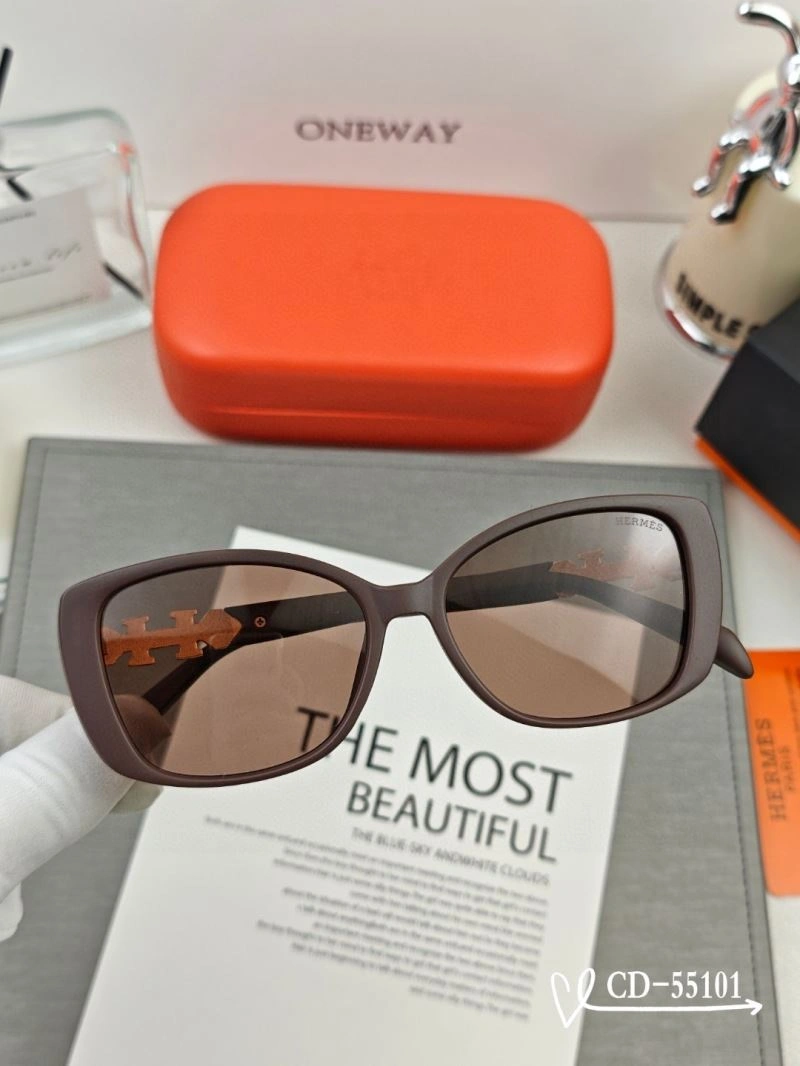 Hermes Sunglasses