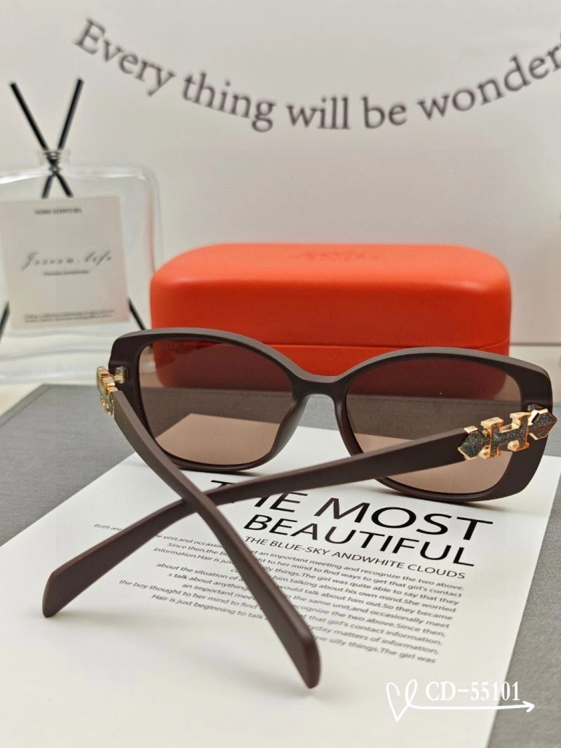 Hermes Sunglasses