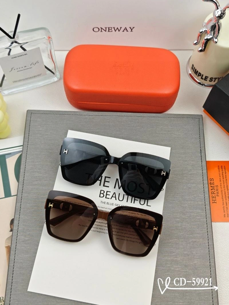 Hermes Sunglasses