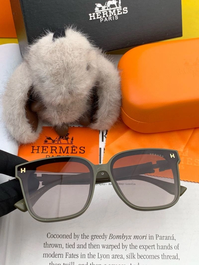 Hermes Sunglasses