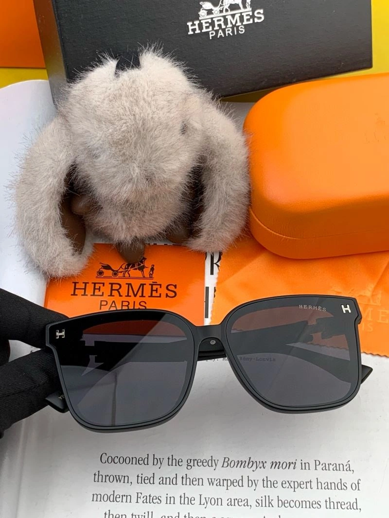 Hermes Sunglasses