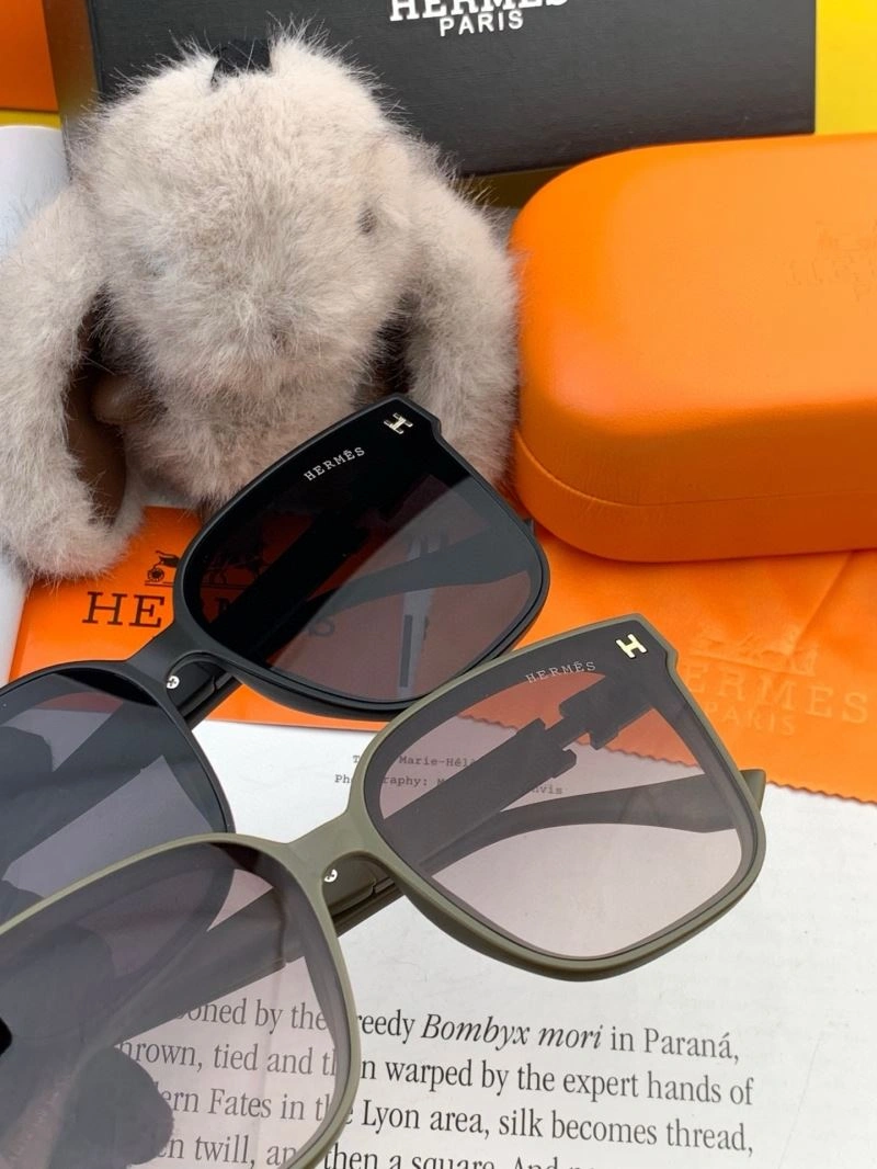 Hermes Sunglasses