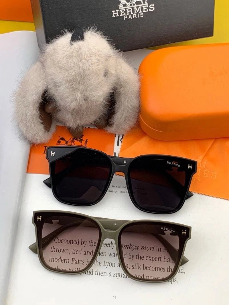 Hermes Sunglasses