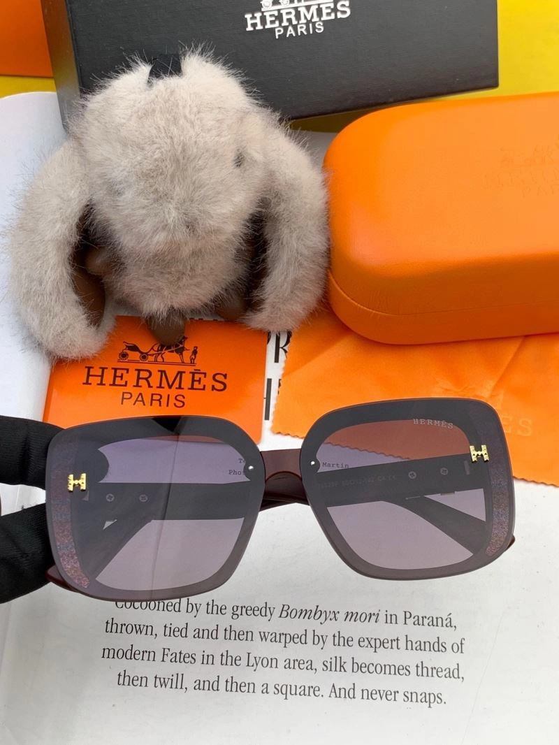 Hermes Sunglasses