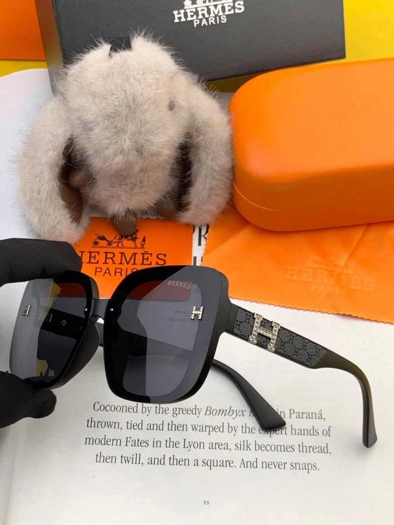 Hermes Sunglasses