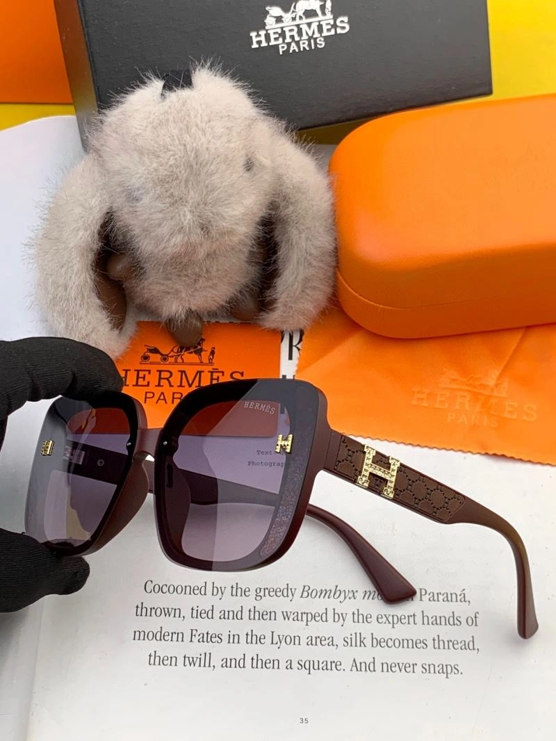 Hermes Sunglasses