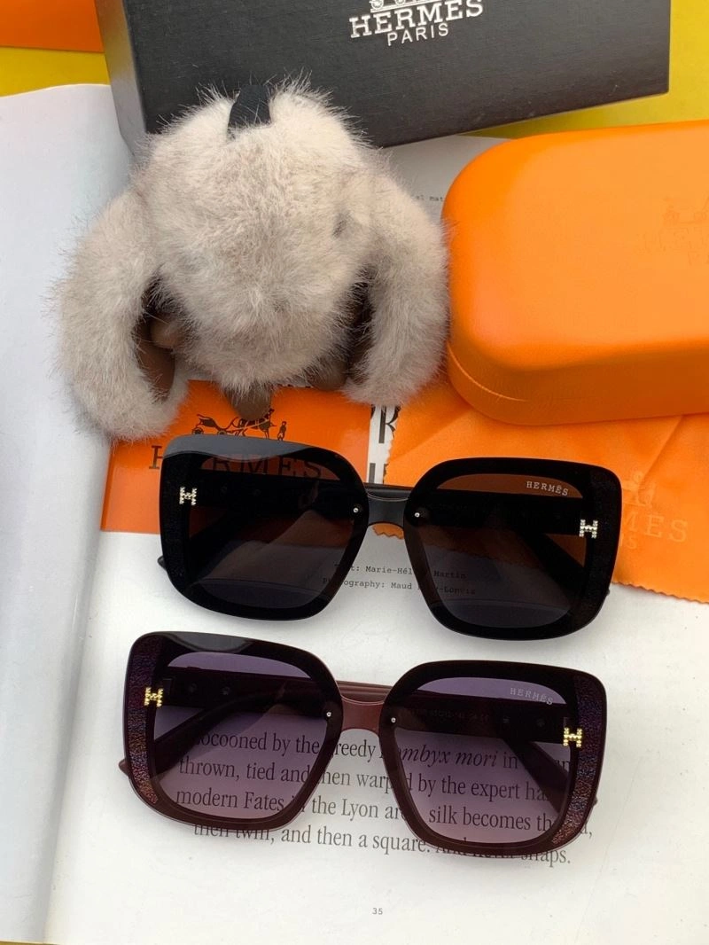 Hermes Sunglasses