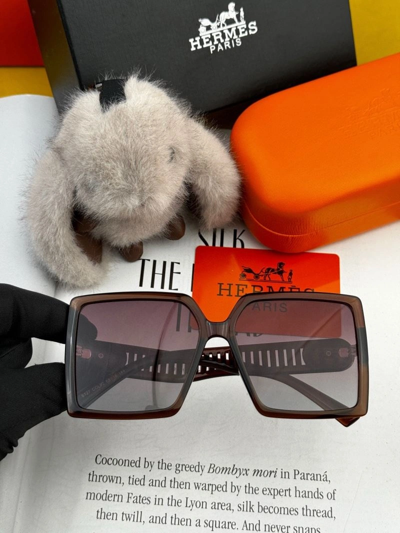 Hermes Sunglasses