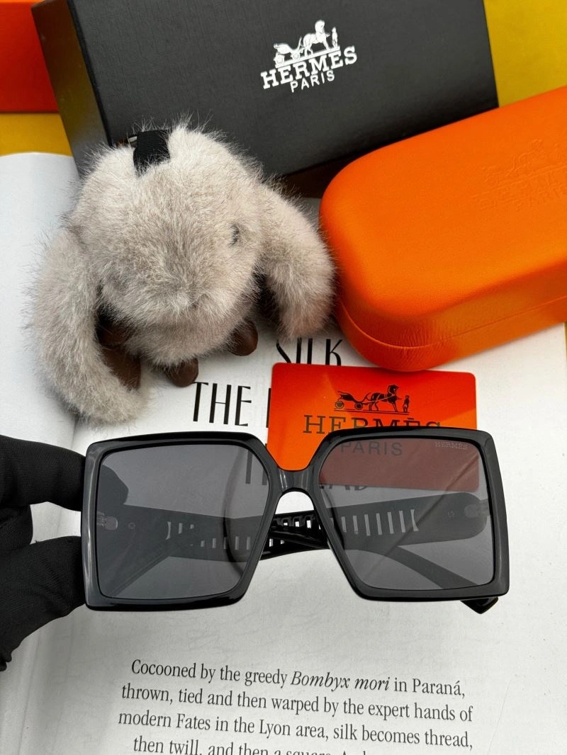 Hermes Sunglasses