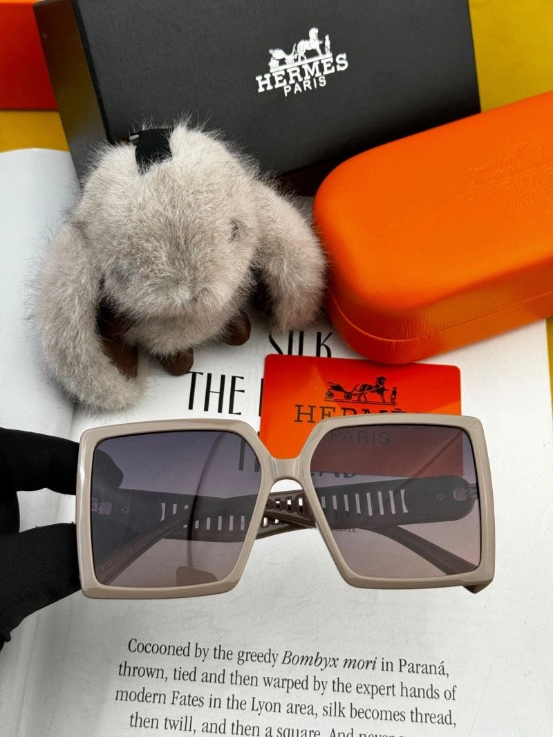 Hermes Sunglasses