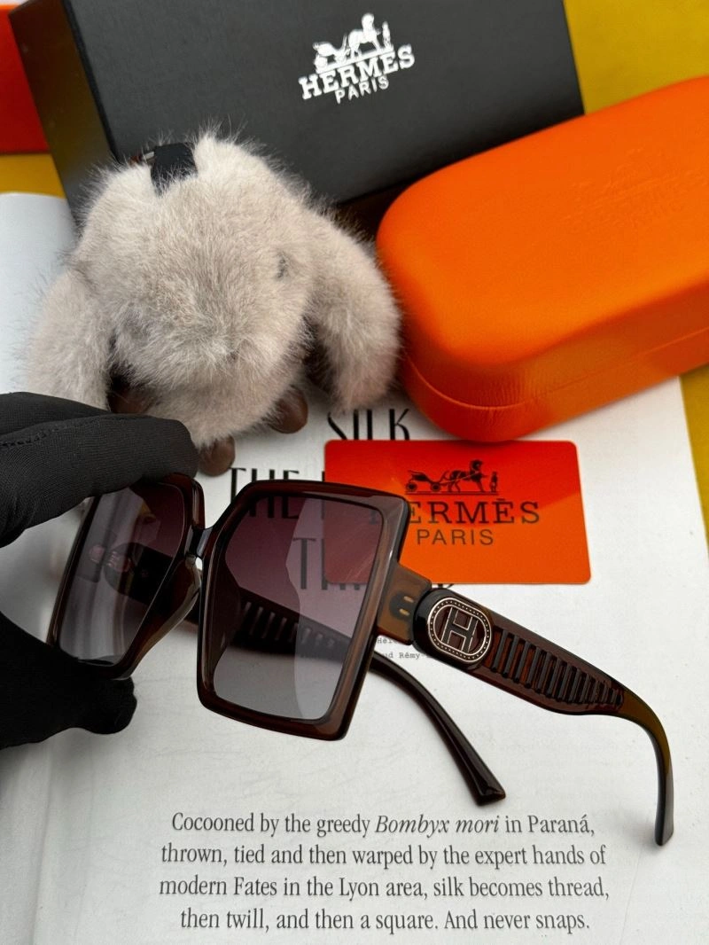 Hermes Sunglasses