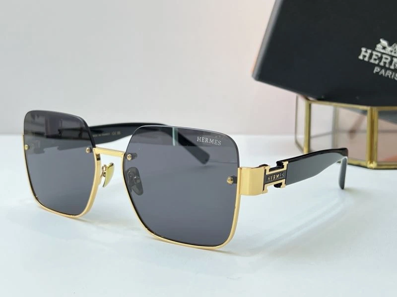 Indistinguishable Hermes Sunglasses