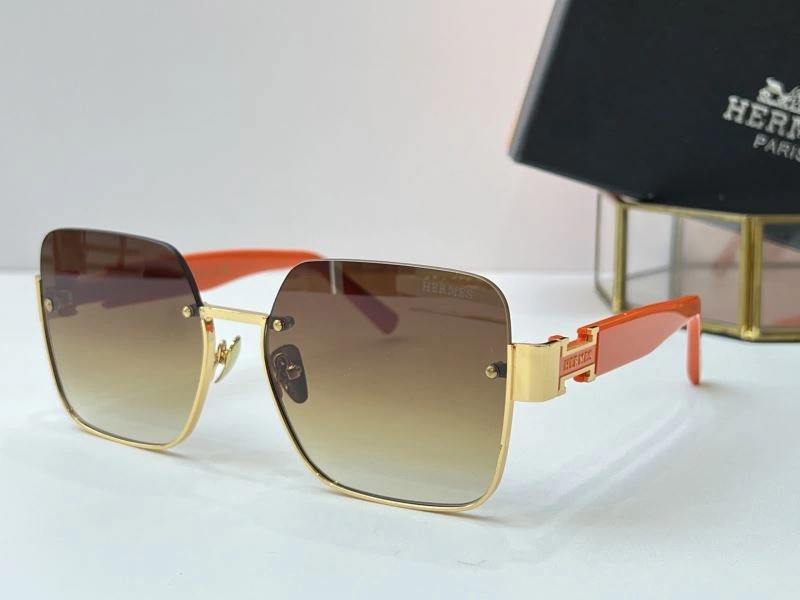 Indistinguishable Hermes Sunglasses