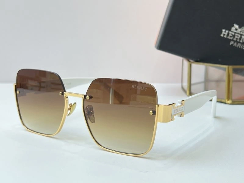 Indistinguishable Hermes Sunglasses
