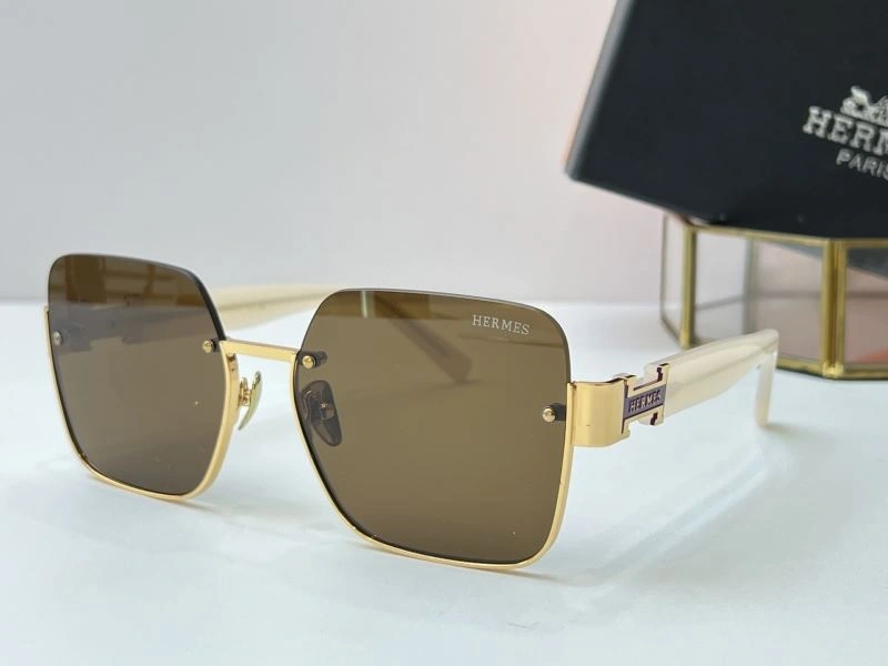 Indistinguishable Hermes Sunglasses