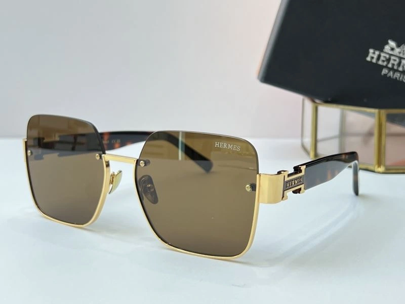 Indistinguishable Hermes Sunglasses