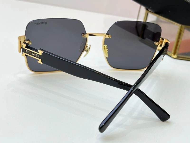 Indistinguishable Hermes Sunglasses