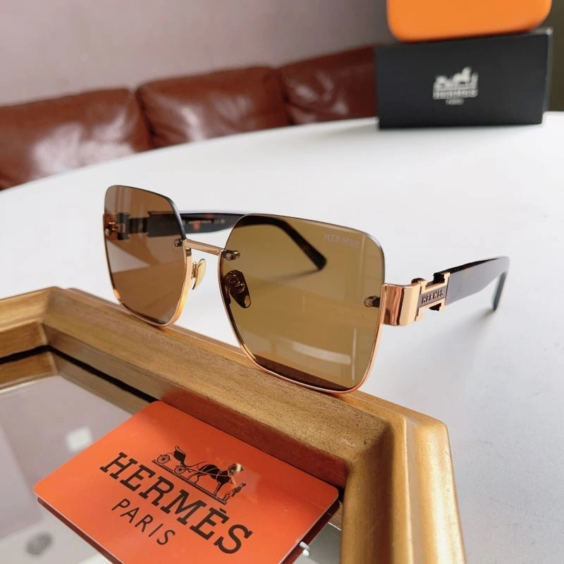 Indistinguishable Hermes Sunglasses