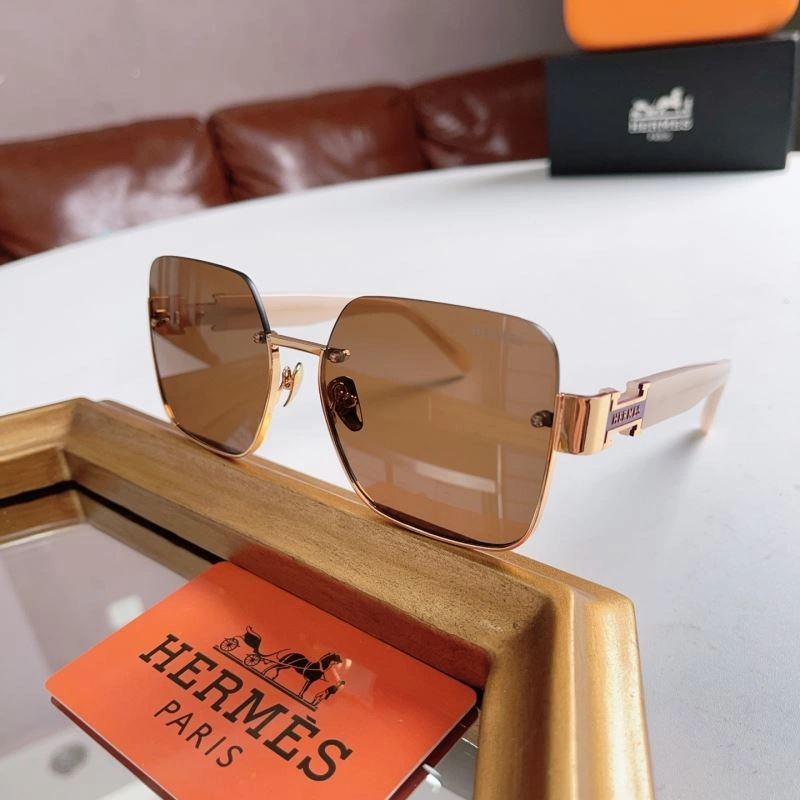 Indistinguishable Hermes Sunglasses