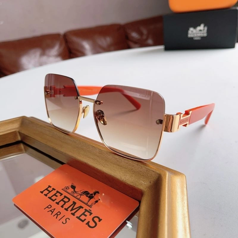 Indistinguishable Hermes Sunglasses