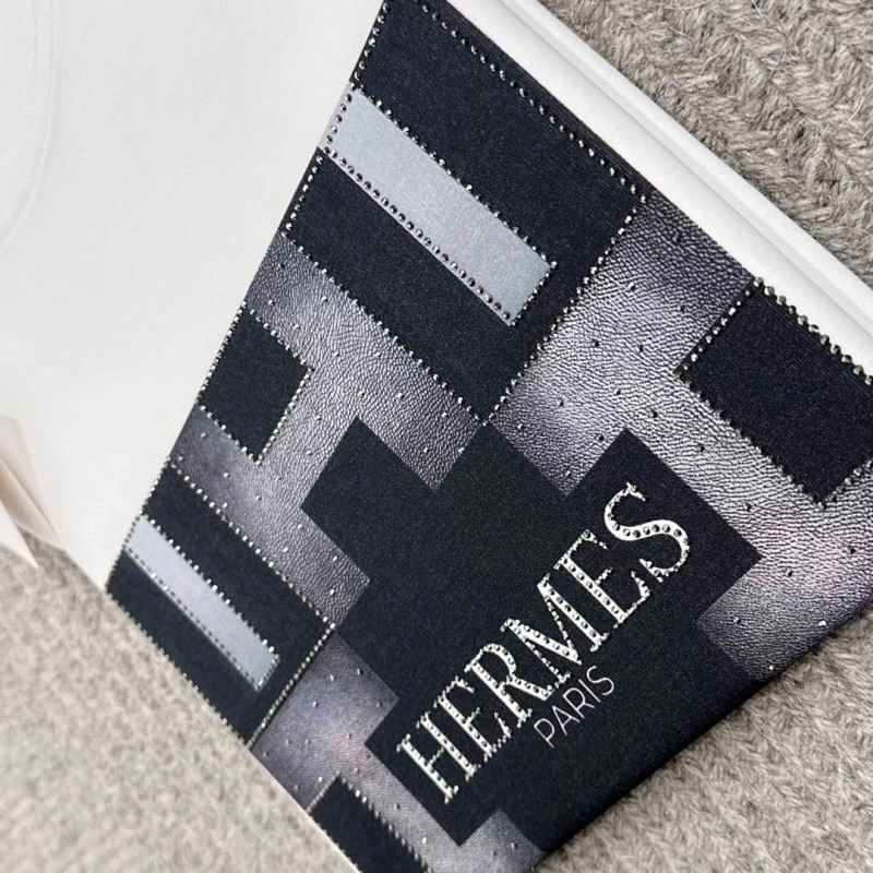 Mirror quality Hermes T-Shirts