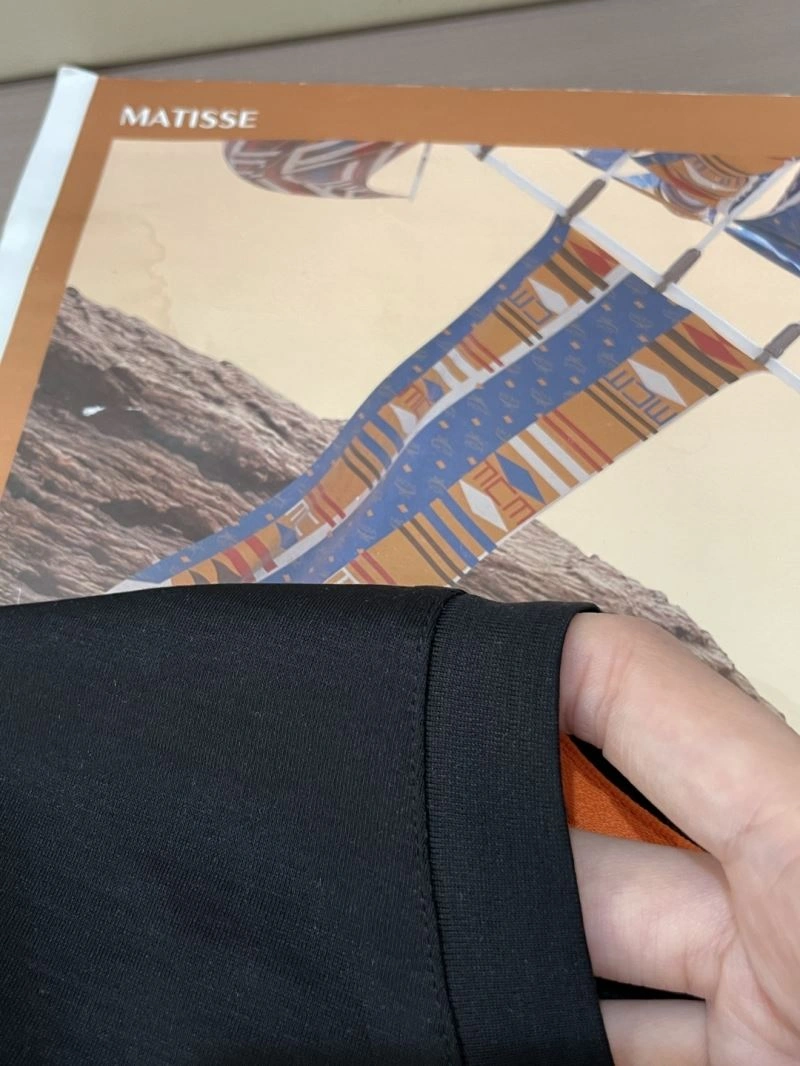 Exact replica Hermes T-Shirts