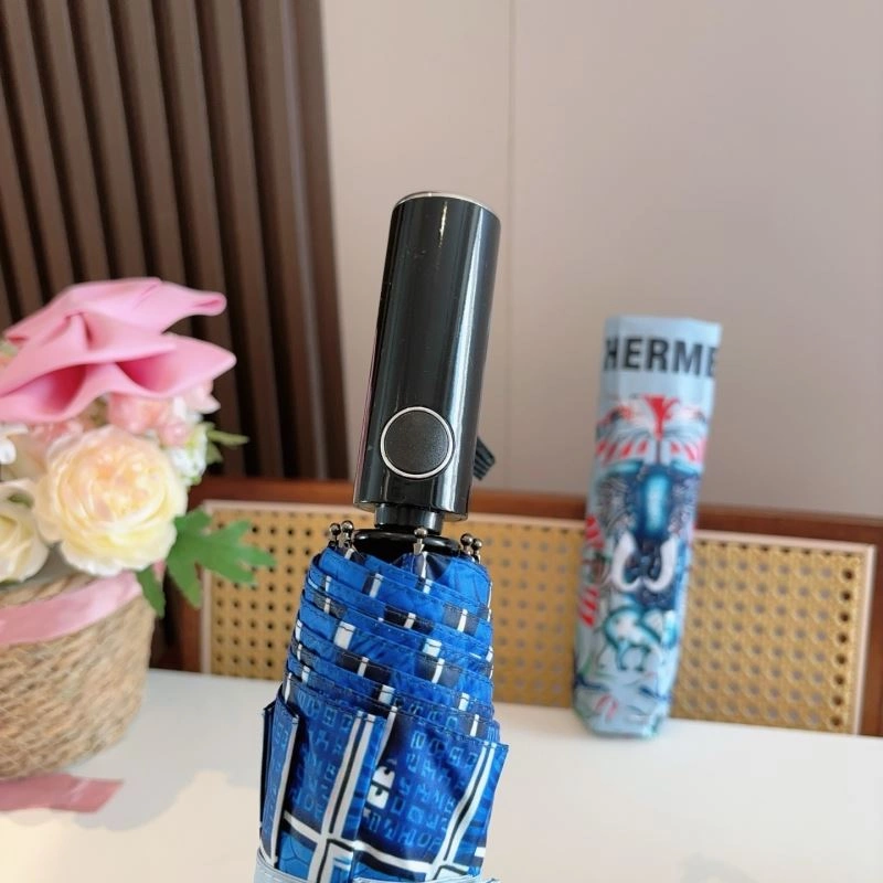 Original Hermes Umbrella