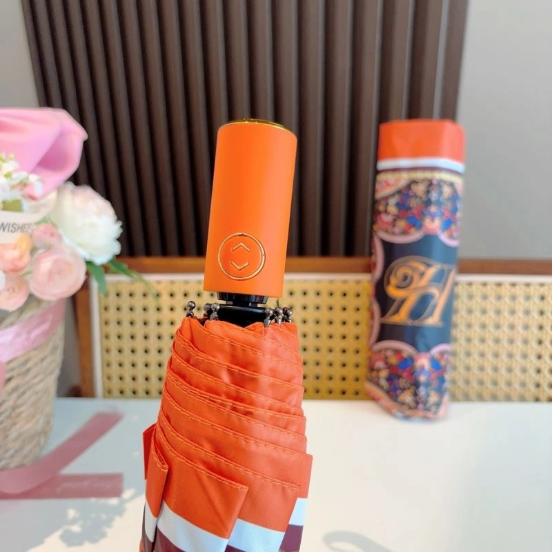 Original Hermes Umbrella