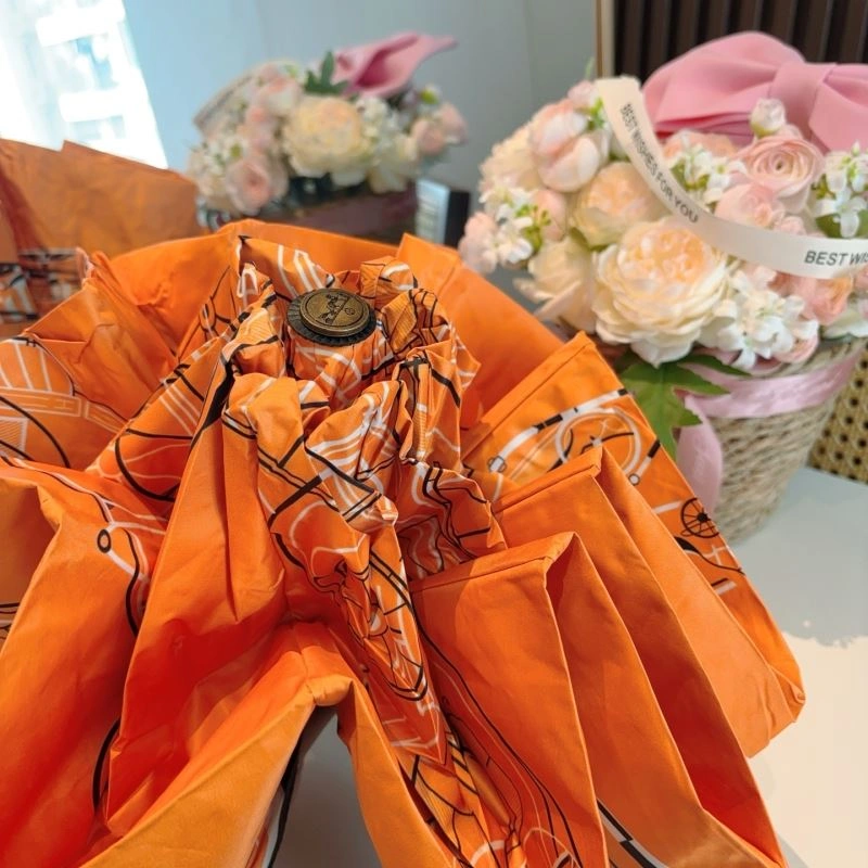 Bargain Hermes Umbrella
