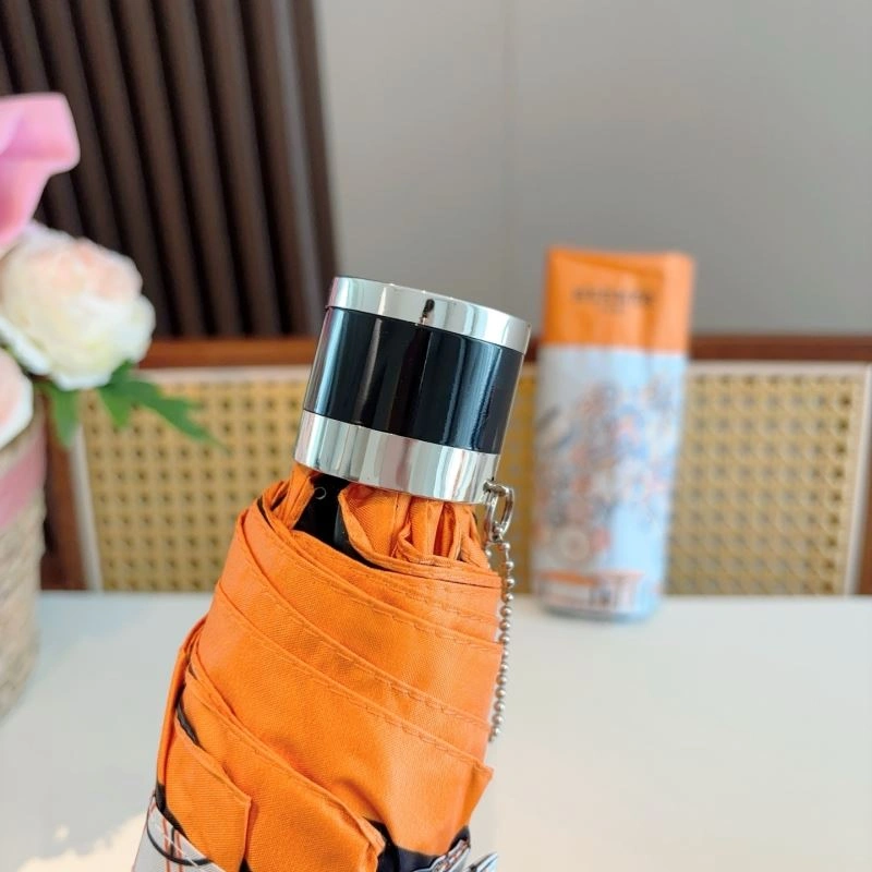 Economical Hermes Umbrella