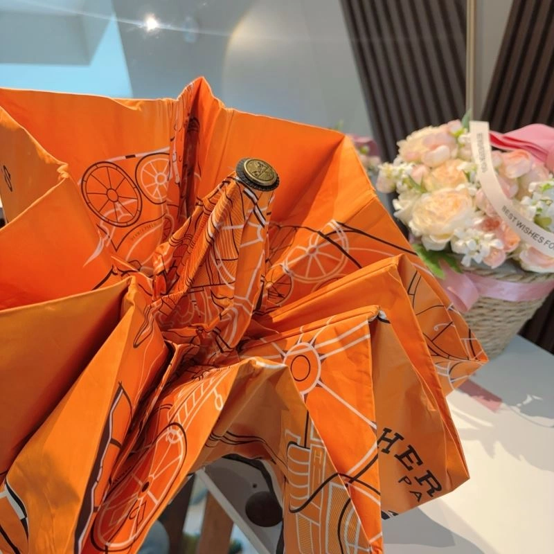 Mirror quality Hermes Umbrella