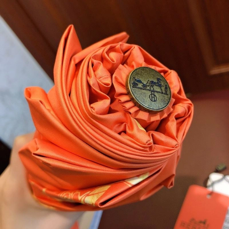 Authentic Hermes Umbrella