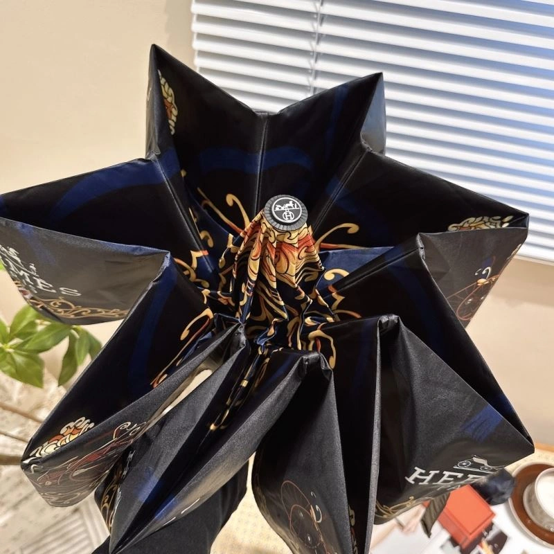 Indistinguishable Hermes Umbrella