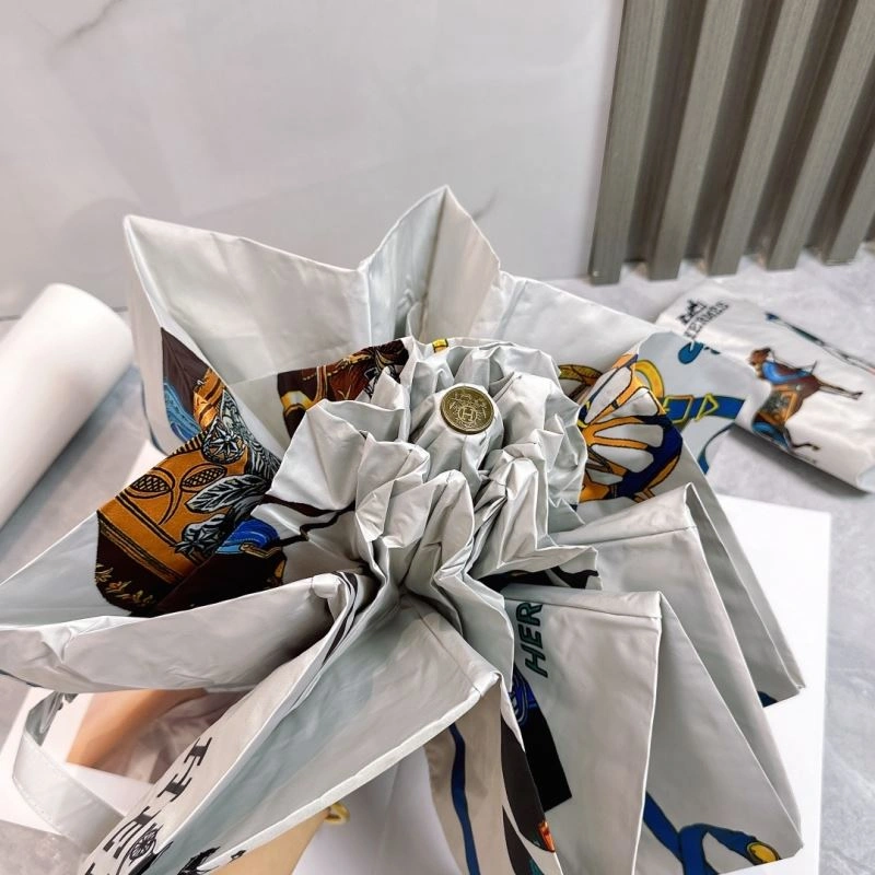Top mirror Hermes Umbrella
