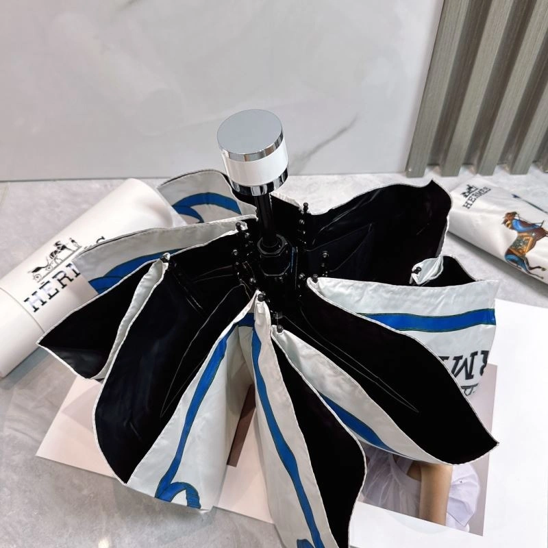 Top mirror Hermes Umbrella