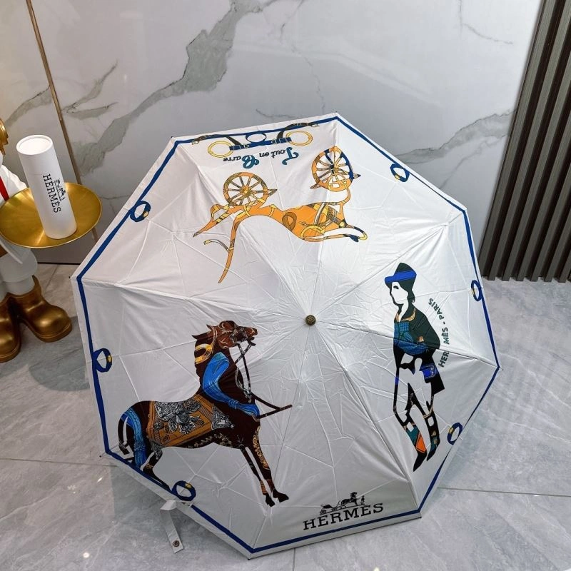 Top mirror Hermes Umbrella