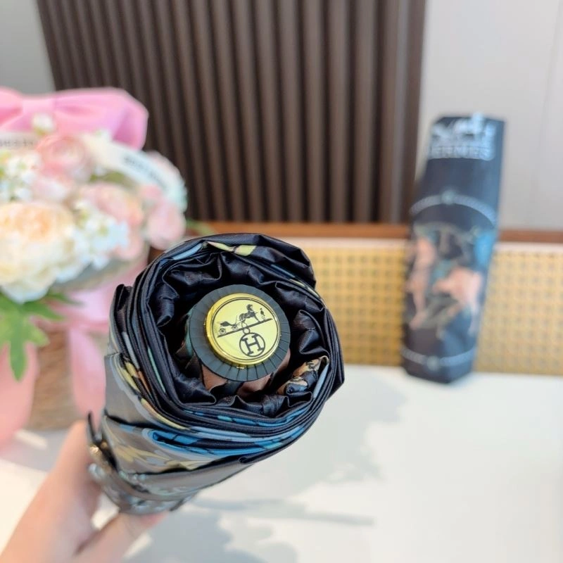 Top mirror Hermes Umbrella