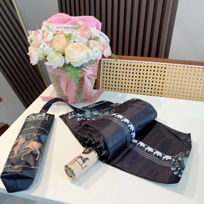 Top mirror Hermes Umbrella