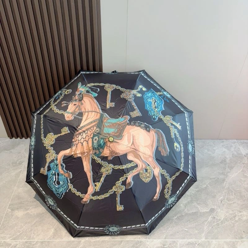 Top mirror Hermes Umbrella