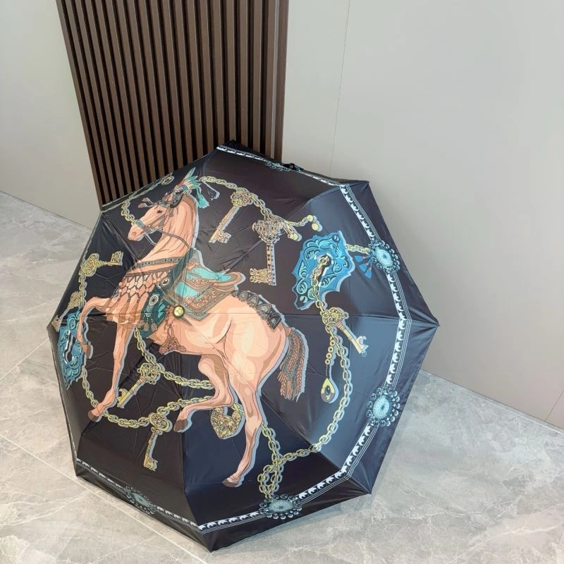 Top mirror Hermes Umbrella