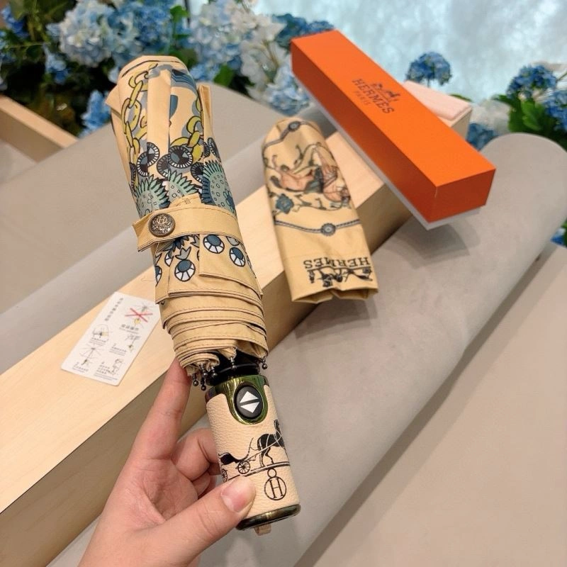 Indistinguishable Hermes Umbrella