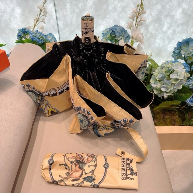 Indistinguishable Hermes Umbrella