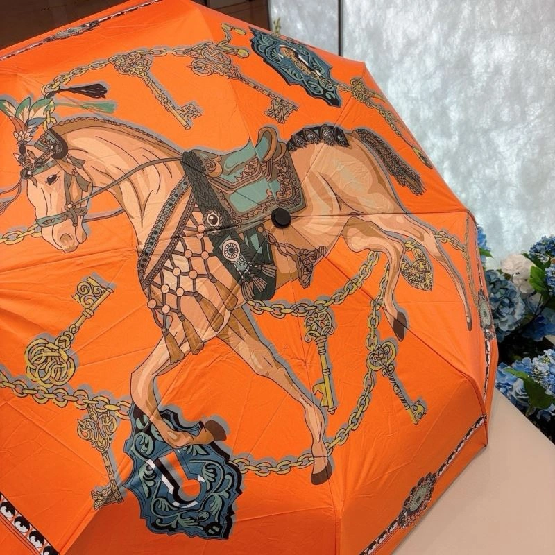 Top match Hermes Umbrella
