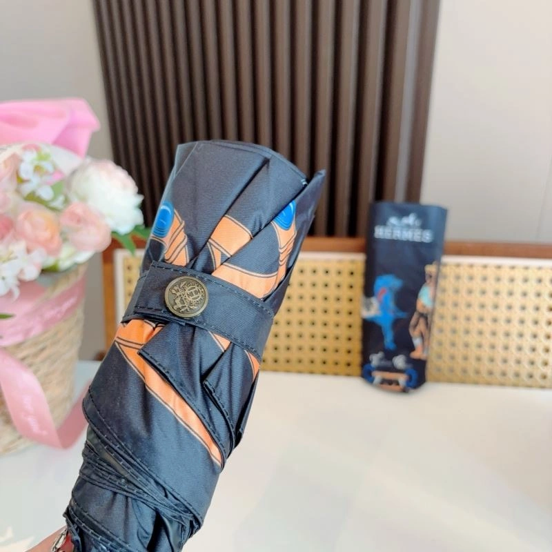 Top mirror Hermes Umbrella