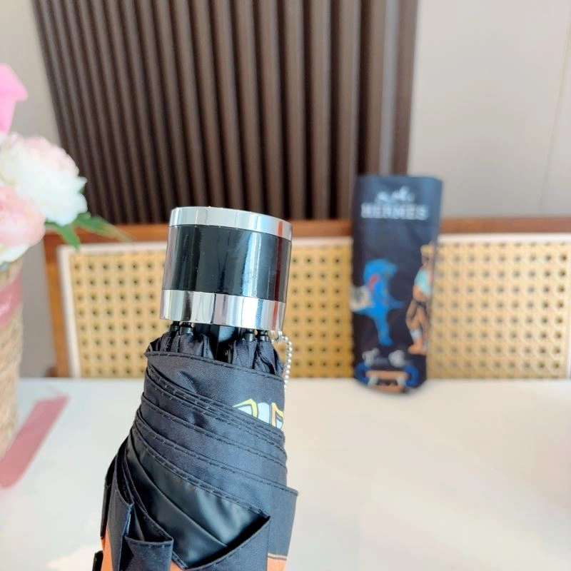 Top mirror Hermes Umbrella