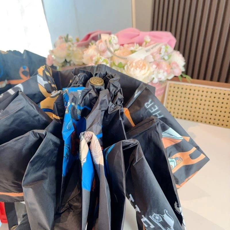 Top mirror Hermes Umbrella